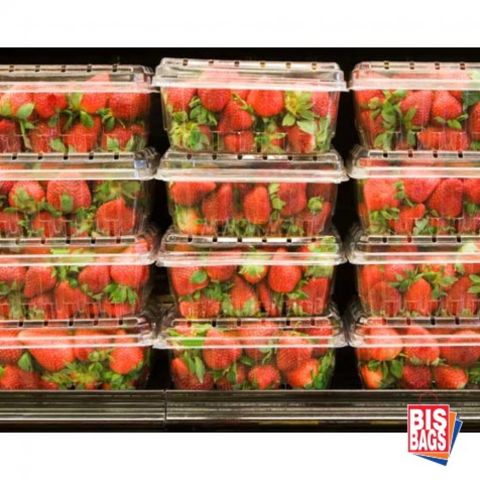 CASEROLE FRUCTE 500 GR CAPAC ATASAT | BisBags